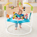 Fisher-Price Jumperoo Colour Climber – Anne Claire Baby Store