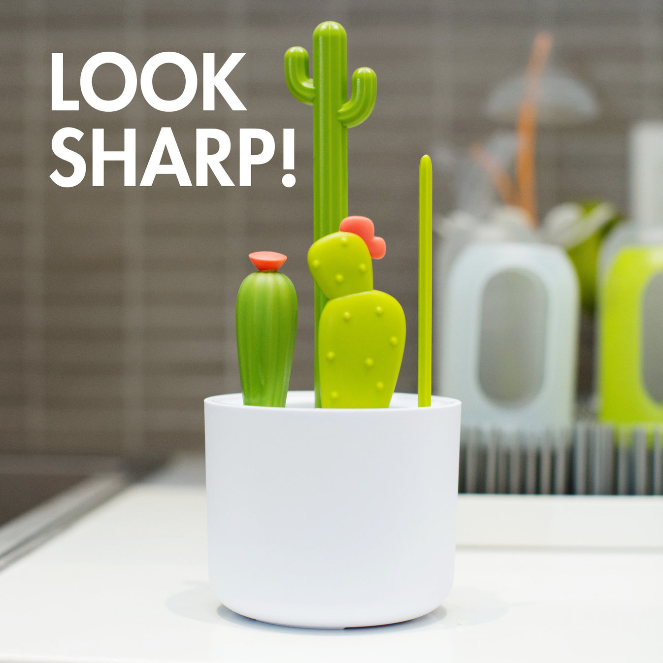 Boon CACTI Conjunto de Escova para Limpeza de Mamadeiras e Garrafas ...