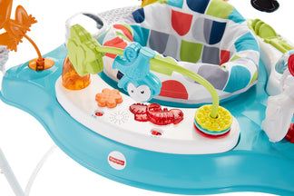 Fisher-Price Jumperoo Colour Climber – Anne Claire Baby Store