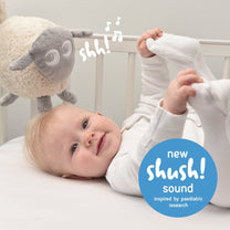 Ewan O Carneirinho dos Sonhos – Anne Claire Baby Store